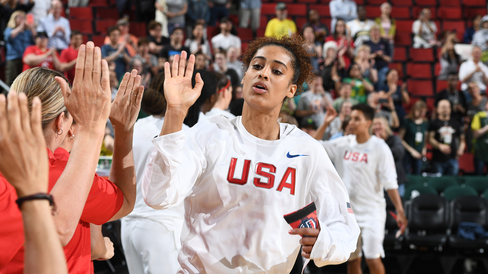 Skylar Diggins Parents